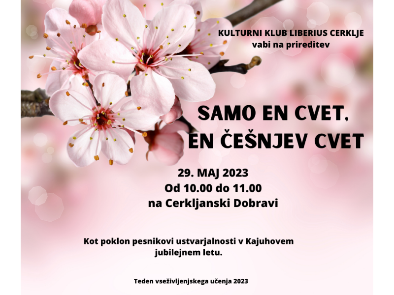 SAMO EN CVET, EN ČEŠNJEV CVET